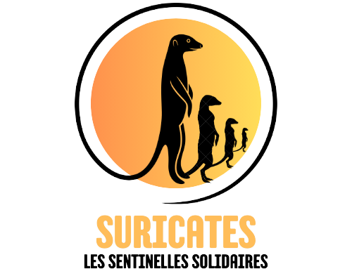 Noël solidaire – Suricates